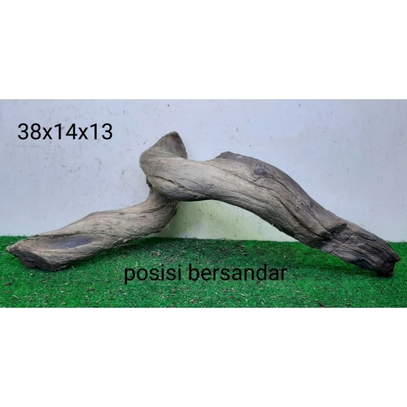 Jual Kayu Santigi Laut Kayu Tenggelam Aquascape Aquarium Taman 38x14x13 ...