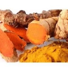 Jual Temulawak segar fres/ Temulawak kuning 1 kg | Shopee Indonesia