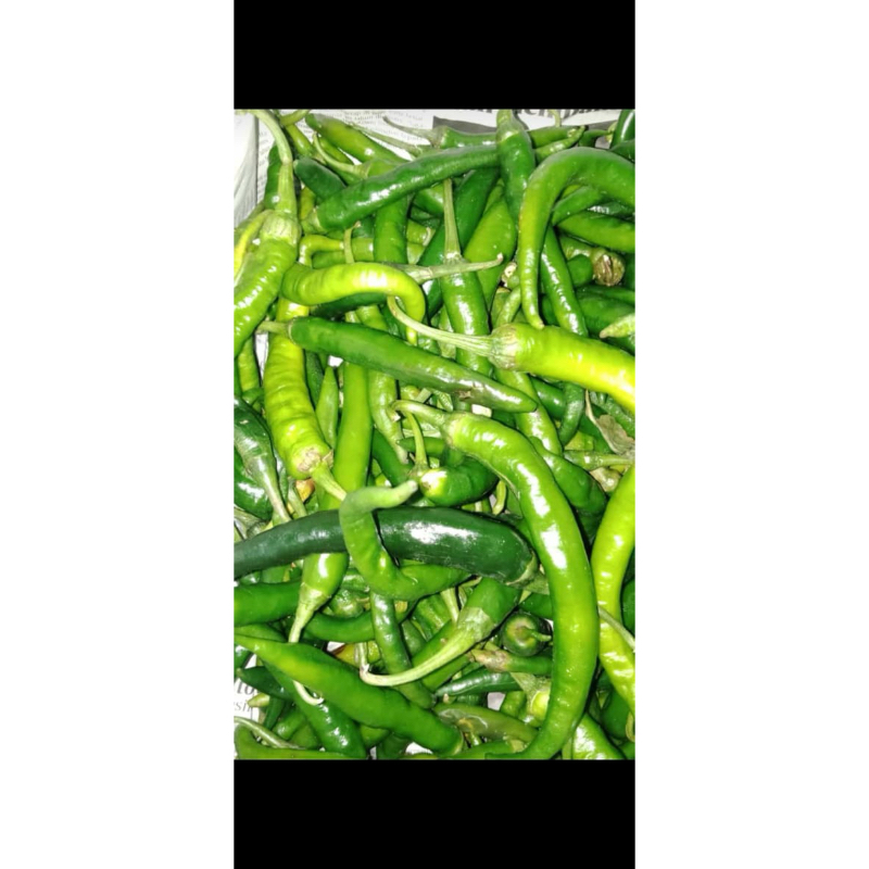 Jual Cabai/Lombok Hijau Besar - 250gram | Shopee Indonesia