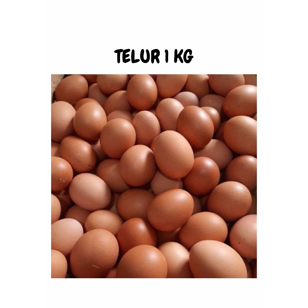Jual Telur Ayam Negeri Per Kg Telor Ayam Khusus Instan | Shopee Indonesia