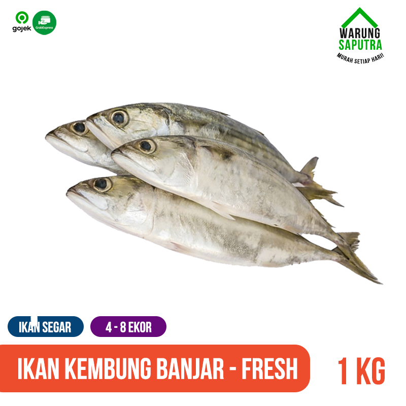 Jual Ikan Kembung Banjar Mati Segar Utuh 1Kg | Shopee Indonesia