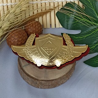 Jual BREVET SAR TARUNA/I POLTEKIM | Shopee Indonesia