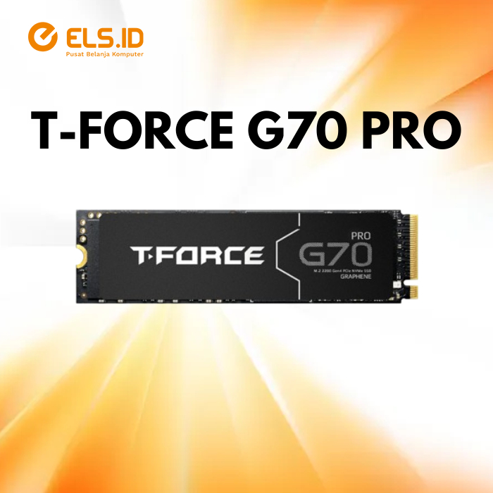 Jual SSD m.2 NVMe Team T-Force G70 Pro With Sticker 2280 Gen 4 | Shopee ...