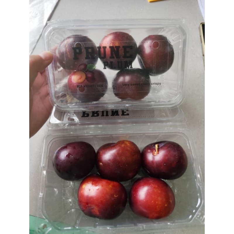 Jual Plum Aust | Shopee Indonesia