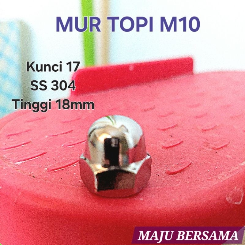 Jual BAUT MUR TOPI M10 STAINLESS STEEL 304 END CAP CAP NUT | Shopee ...