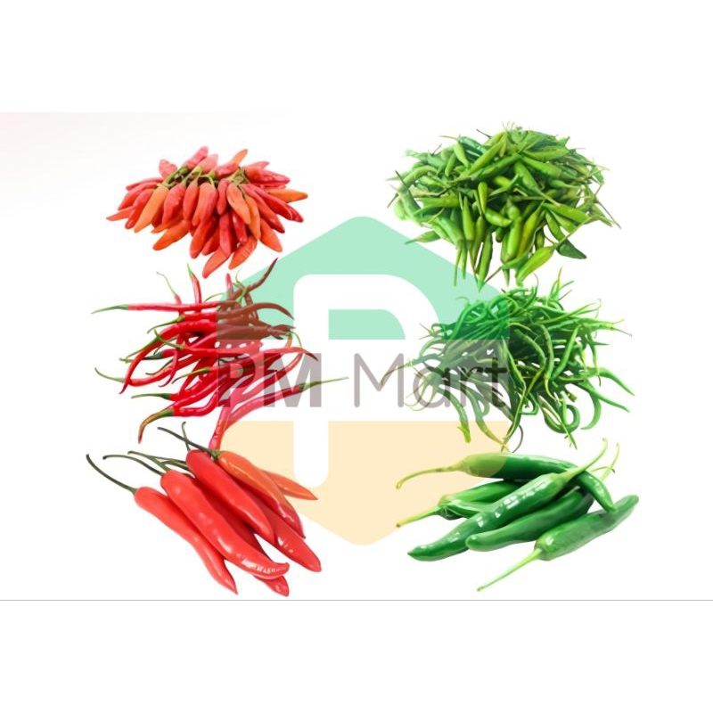 Jual Aneka Cabe Segar & Murah |Cabe Rawit Merah| Cabe Merah Besar| Cabe ...