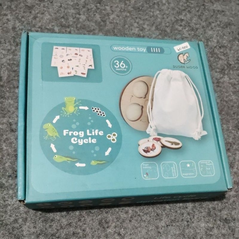 Jual SALE MAINAN EDUKASI ANAK - WOODEN TOY - LIFE CYCLE DERIVATION ...