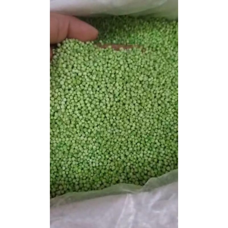 Jual Sagu Mutiara Hijau Thailand Asli Repack 1kg | Shopee Indonesia