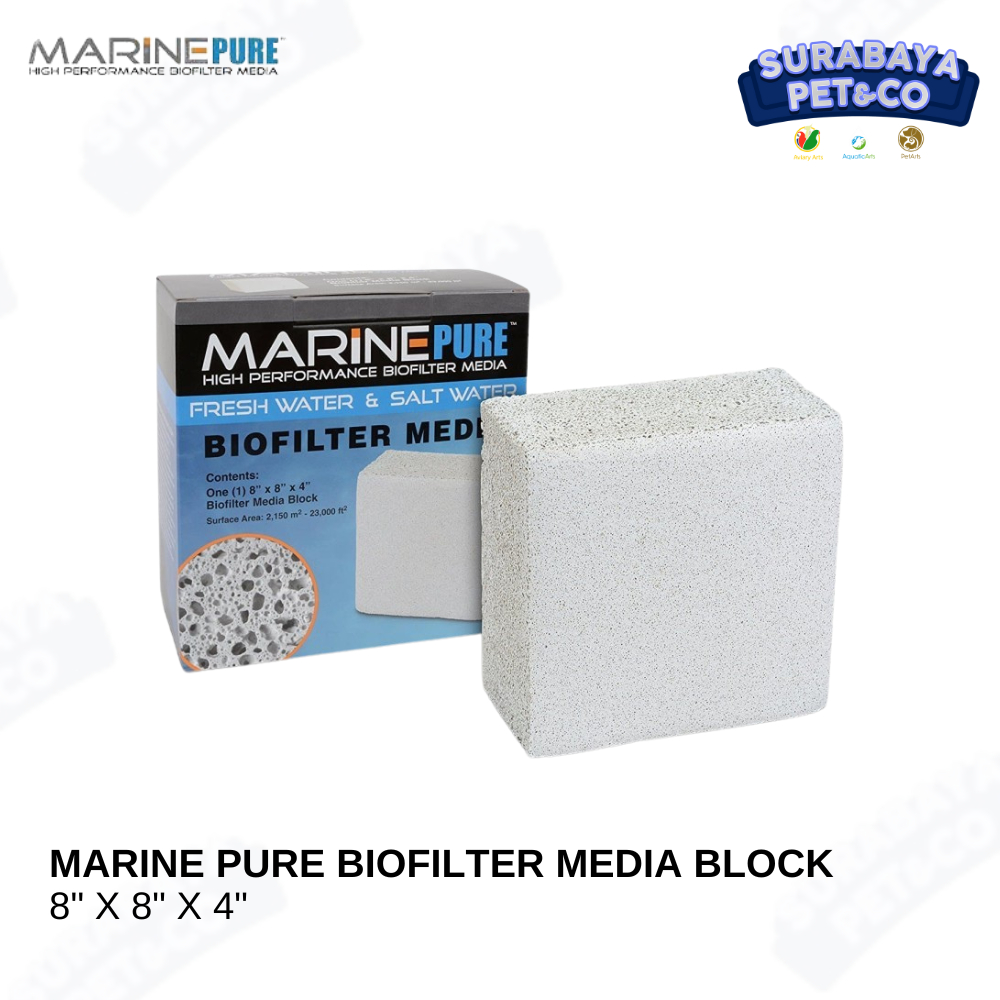 Jual Marine Pure Block Biofilter Media ( rumah bakteri ) | Shopee Indonesia