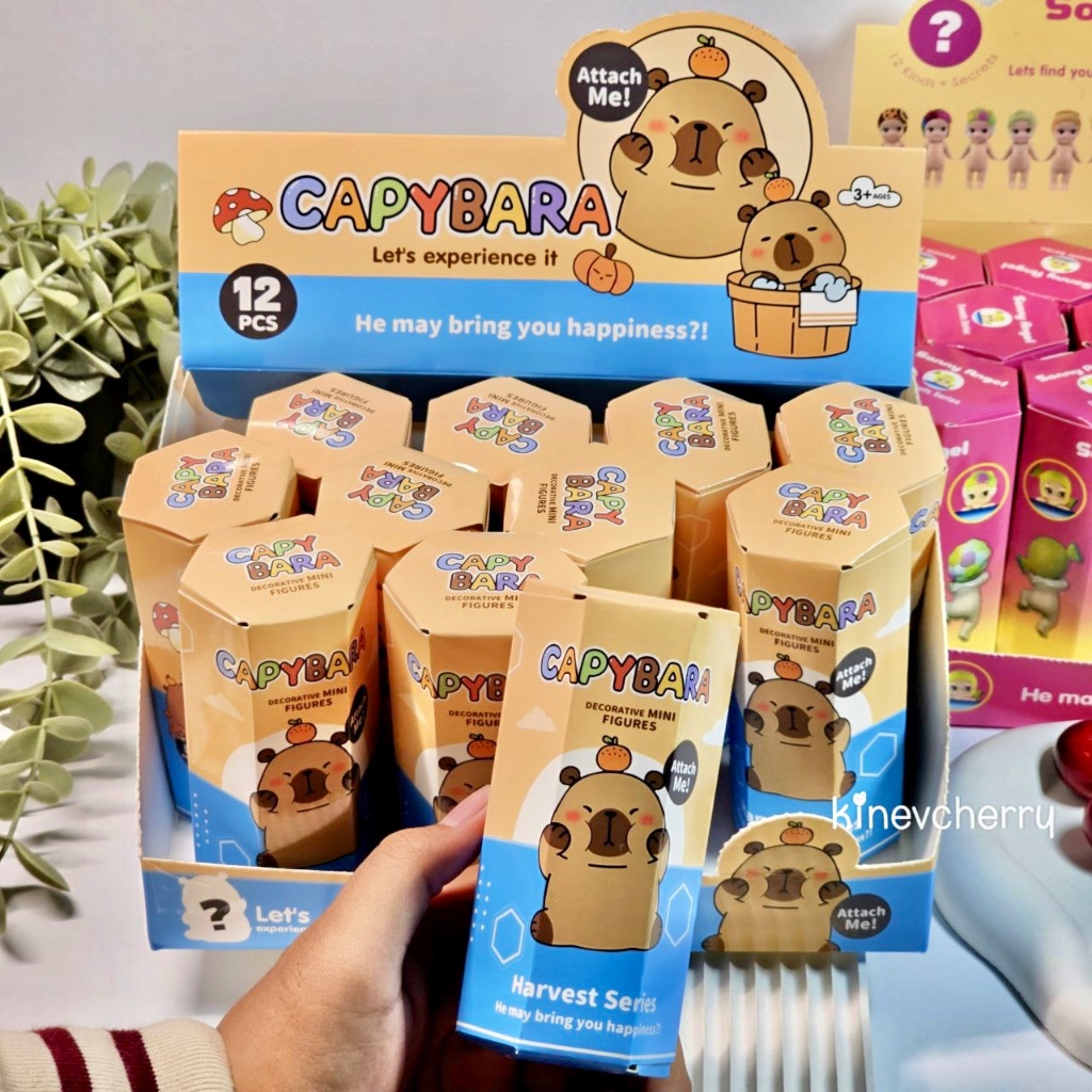 Jual BLIND BOX CAPYBARA Hippers Figure | Shopee Indonesia