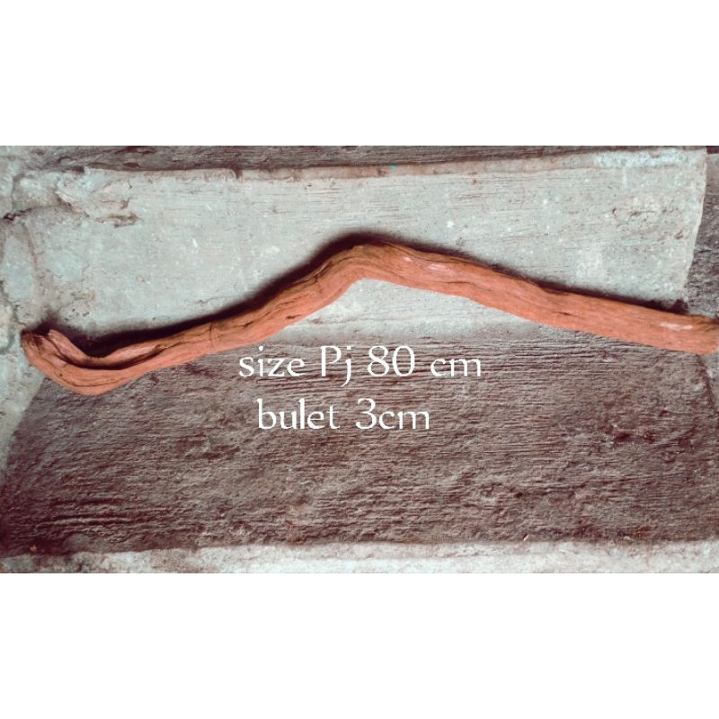 Jual kayu sentigi dekorasi aquasqaepe akuariumm hiyasan isi akuariyum ...