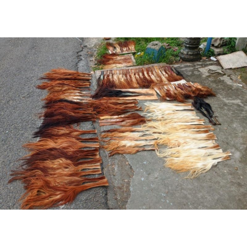 Jual EKOR SAPI / RAMBUT SAPI HARGA BORONGAN TERMURAH (Warna Random ...