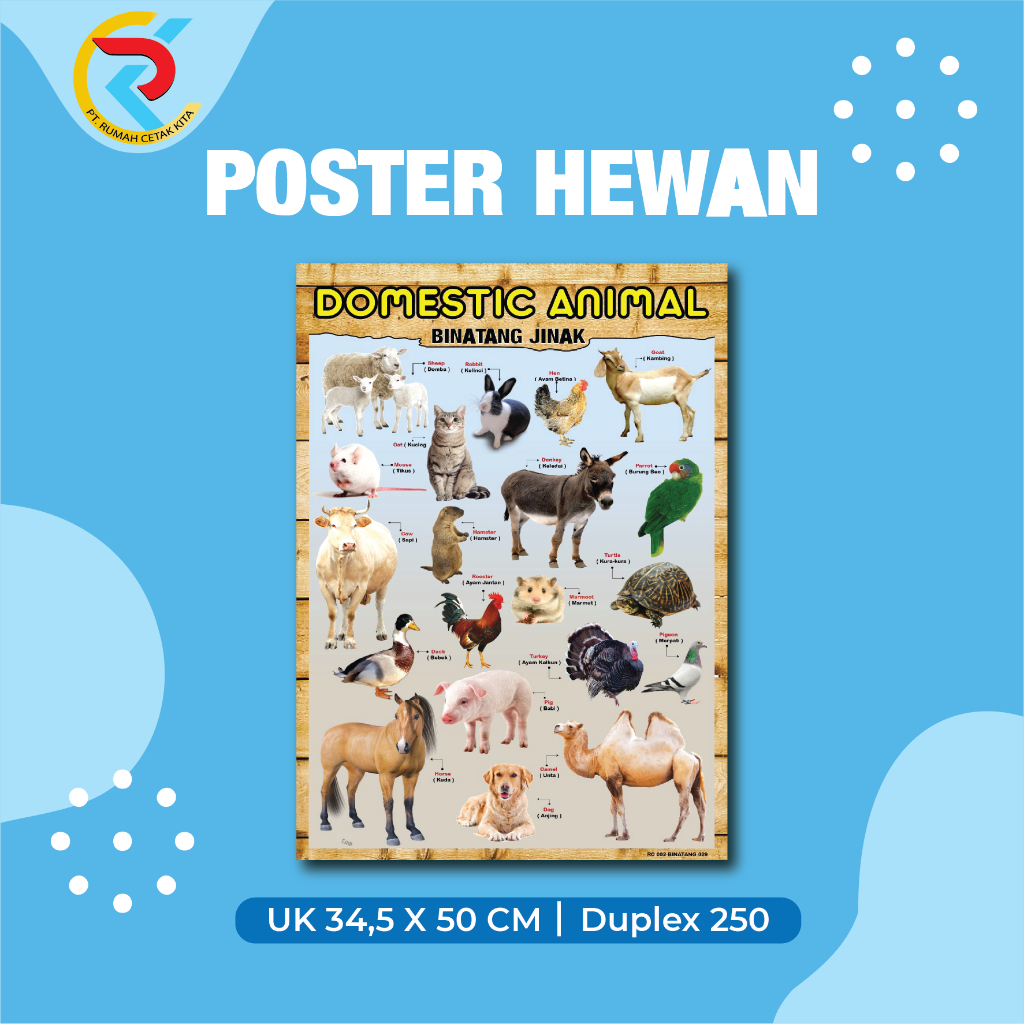 Jual Poster Edukasi Anak Aneka Hewan 32 | Hiasan Dinding Ruangan Kelas ...