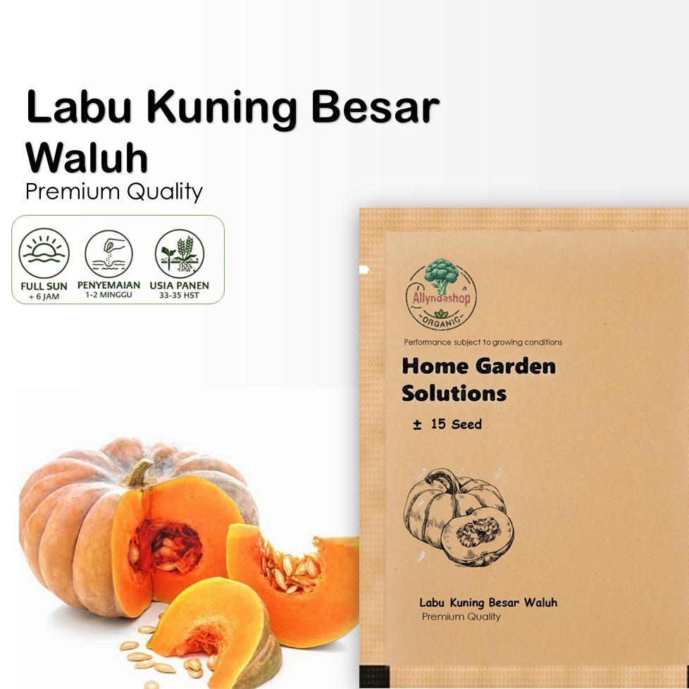 Jual 12 Biji - Bibit Benih Buah Labu Kuning Jumbo Unggul | Shopee Indonesia