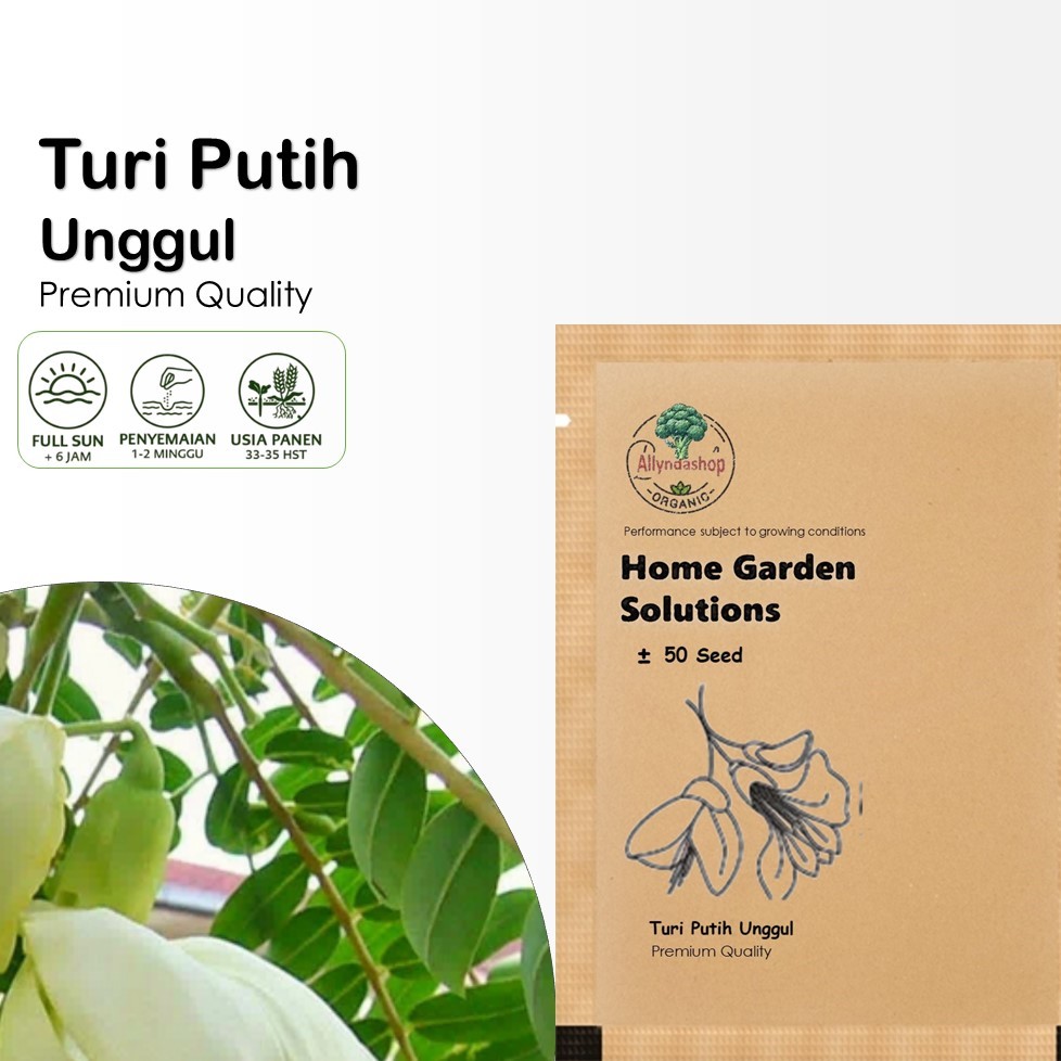 Jual 50 Biji - Bibit Benih Sayur Turi Putih Unggul | Shopee Indonesia