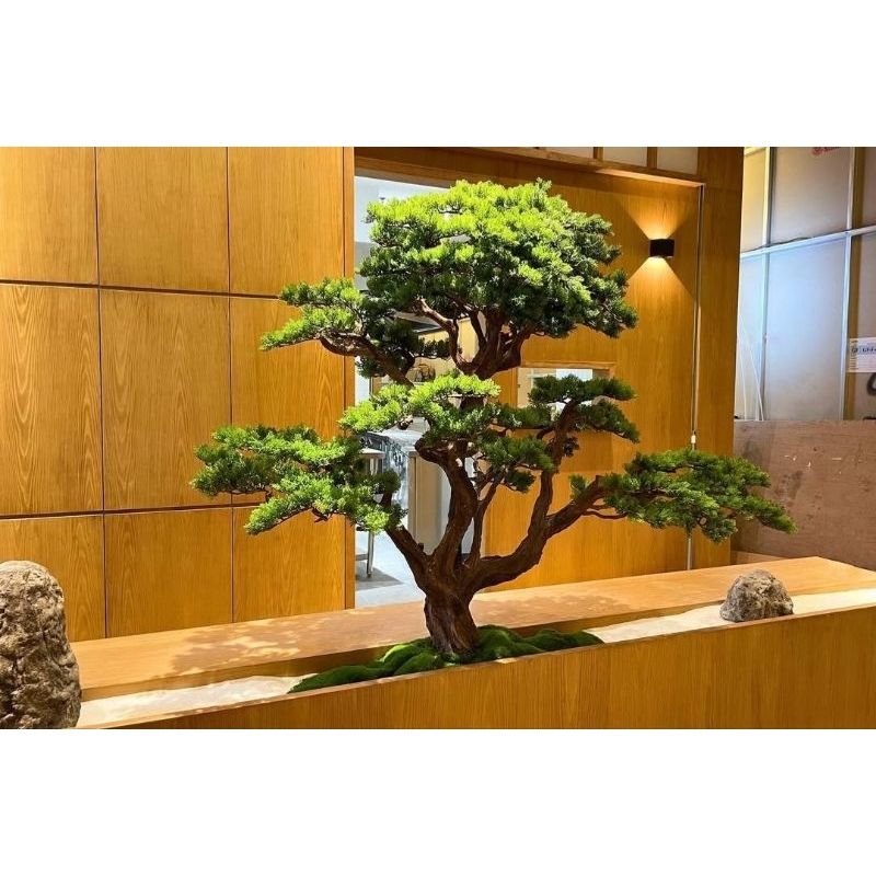 Jual pohon bonsai cemara udang cemara pinus artificial tinggi 90cm ...