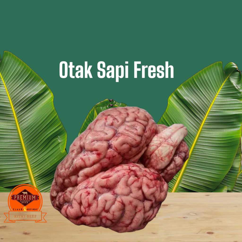 Jual Otak Sapi Lokal Fresh 100%Original (HALAL) | Shopee Indonesia