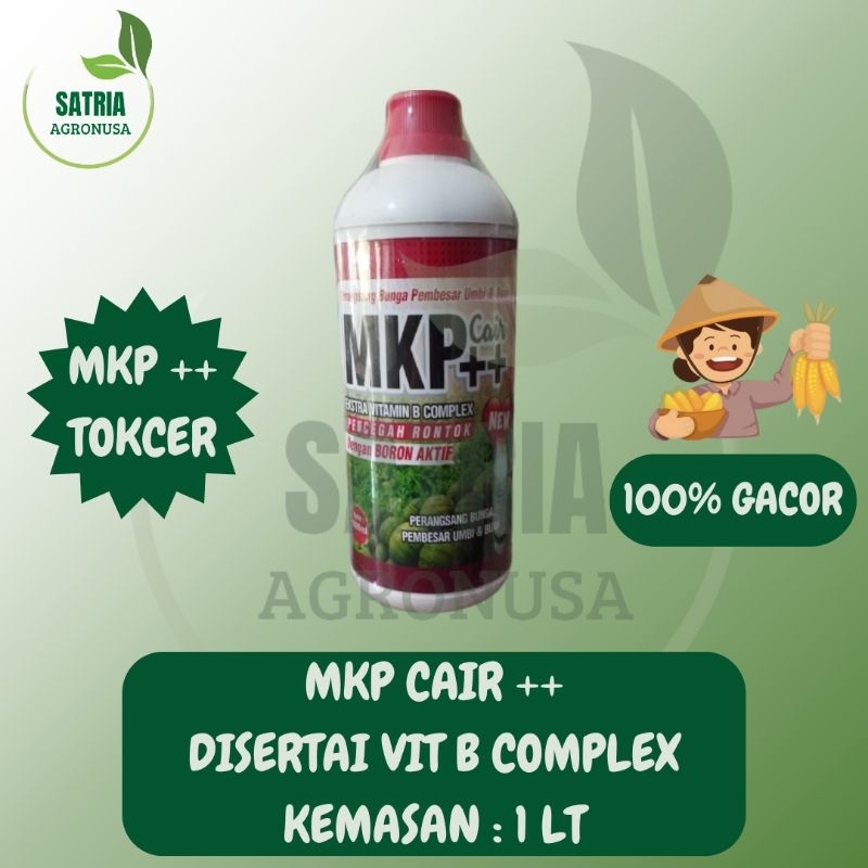 Jual PUPUK CAIR MKP ++ ISTIMEWA PLUS VITAMIN B COMPLEX 1 LT / SPESIAL BUAH DAN UMBI | Shopee ...