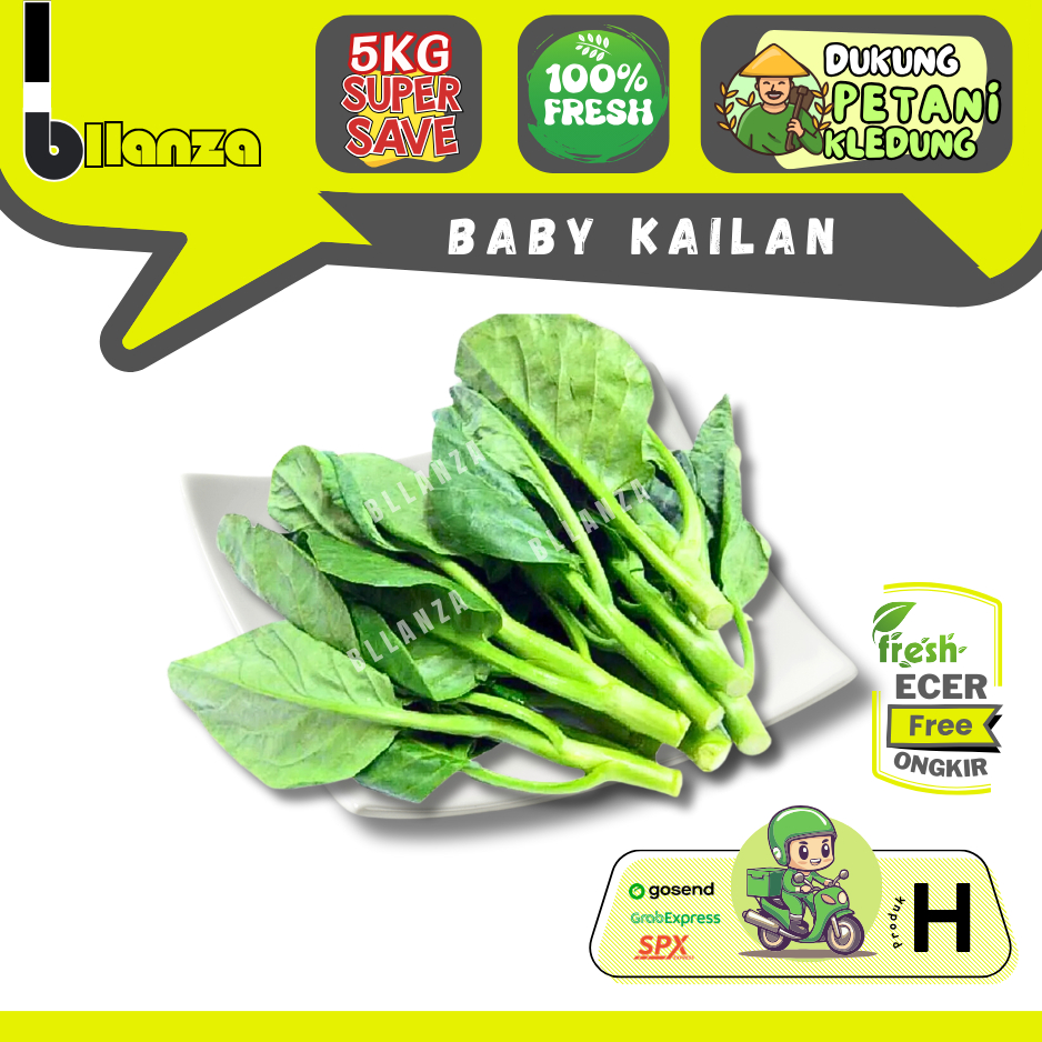 Jual Bllanza | Baby Kailan / Baby Kaylan — Sahabat Makan Sayur ECER (H ...