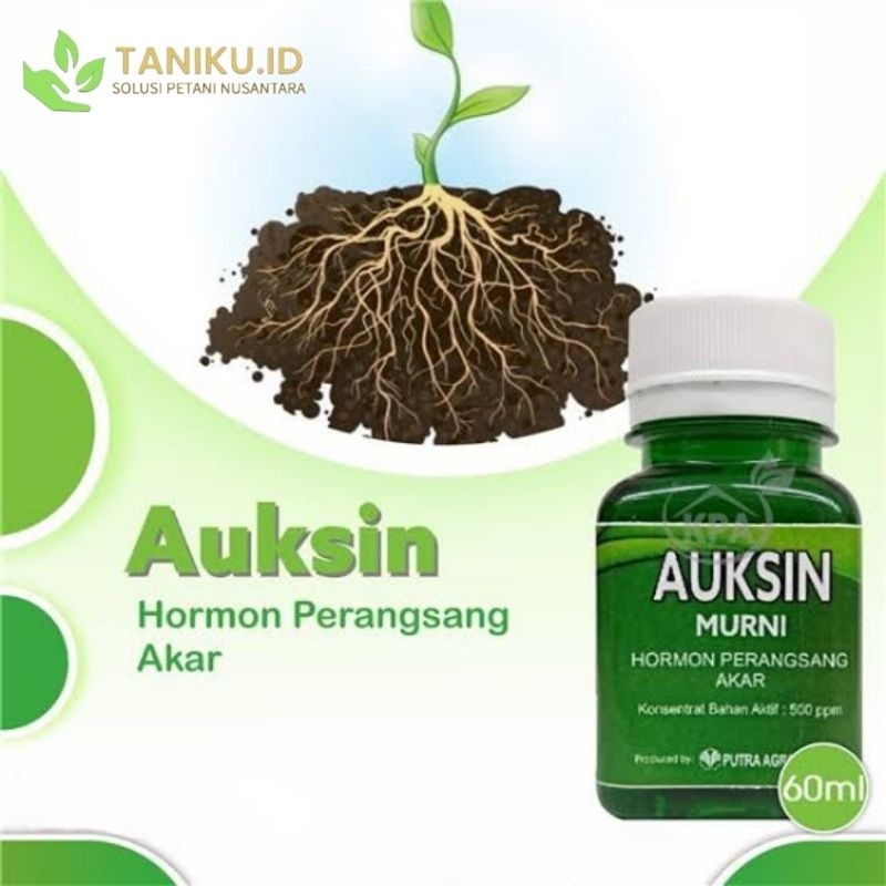 Jual Perangsang akar tanaman Auksin 60 ml | Shopee Indonesia