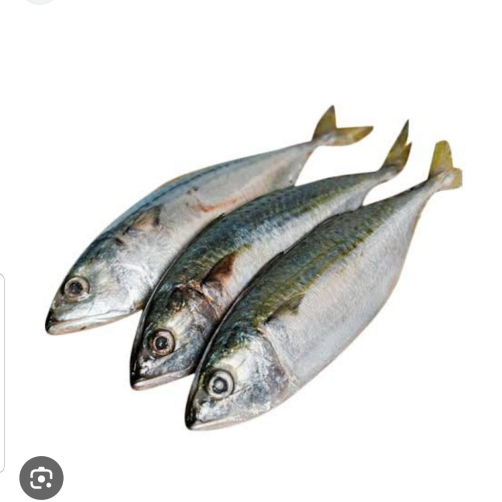 Jual Ikan Kembung Banjar 1 kg | Shopee Indonesia