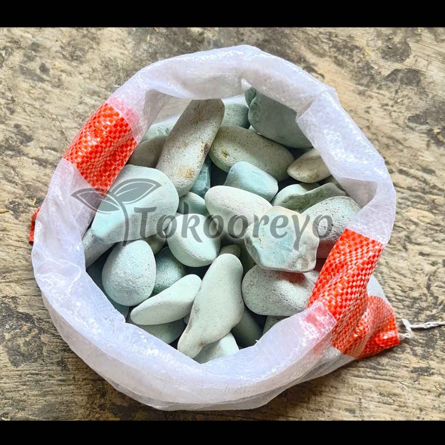Jual BATU KORAL HIJAU FLORES BESAR - HIAS TAMAN AQUASCAPE VIA CARGO | Shopee Indonesia
