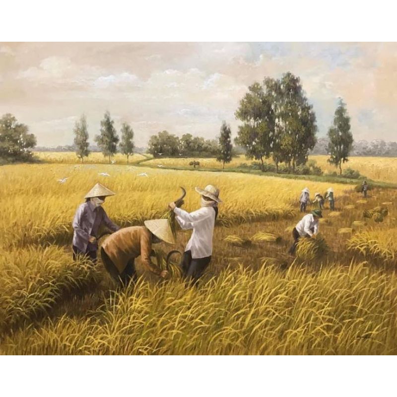 Jual poster cetak,panen padi di sawah, hiasan dinding, gambar, panen ...