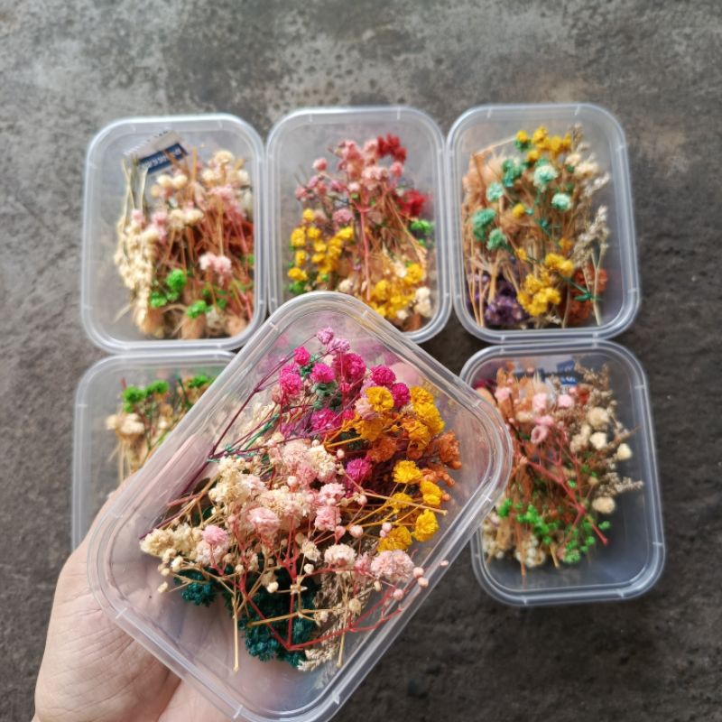 Jual Paket box mini Bunga Resin random bunga kering resin bunga hias ...