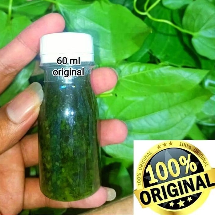 Jual TERLARIS - oil ajaib - minyak daun bungkus 3 jari superr ORIGINAL ...