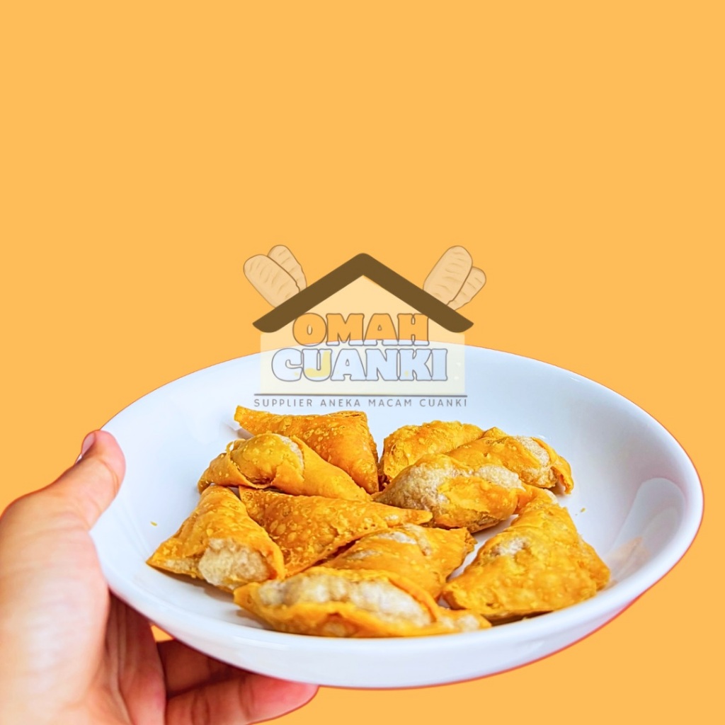 Jual Kerupuk Pangsit Topping Tambahan - 10Pcs - OMAH CUANKI | Shopee ...