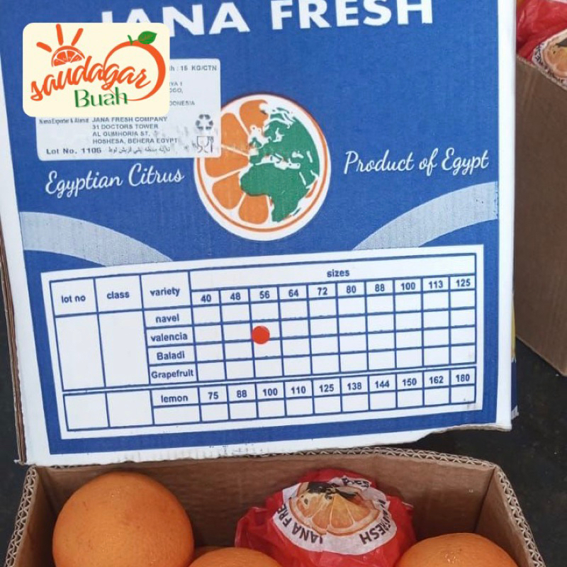 Jual BUAH JERUK POTONG SANKIST VALENCIA SUNKIS ORANGE JUS GROSIR 1 ...