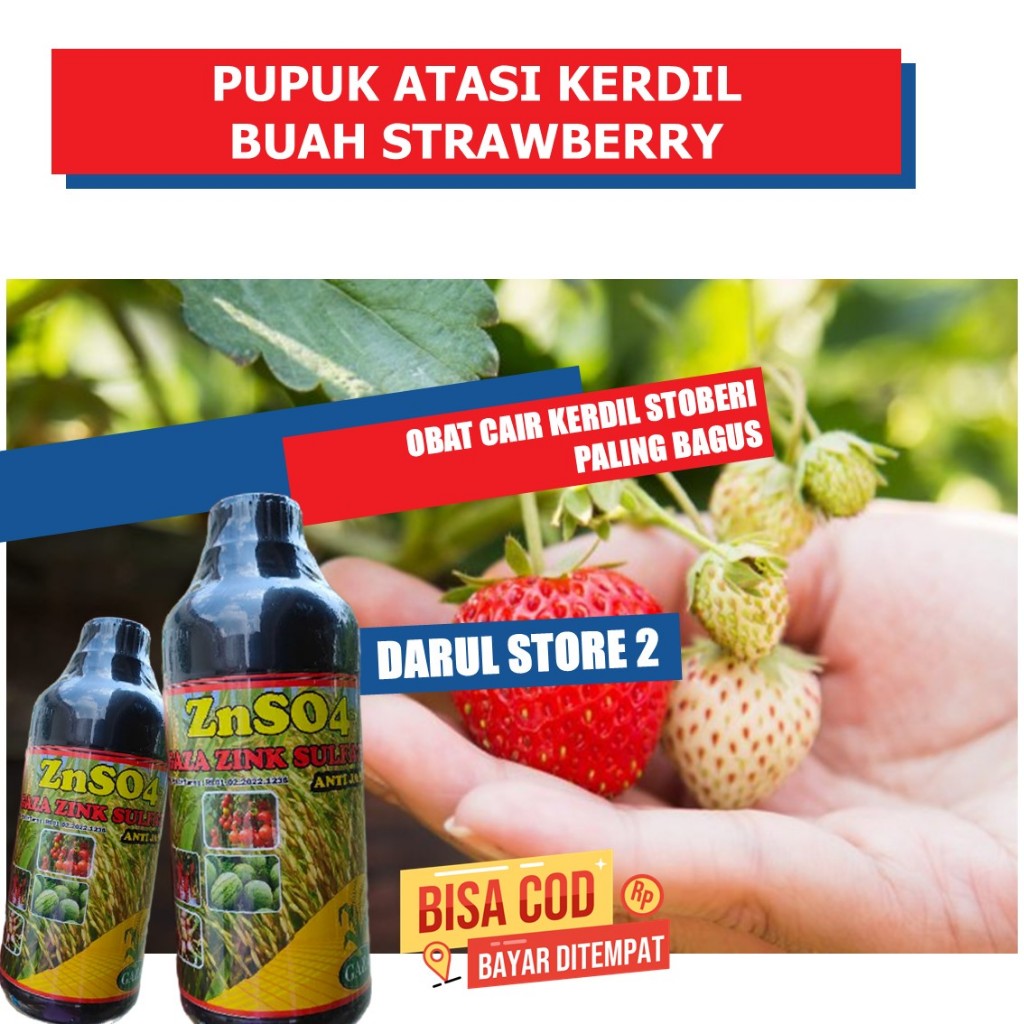 Jual OBAT DAUN BULAI BUAH STROBERI ZNSO PALING BAGUS - Pupuk Atasi Daun ...