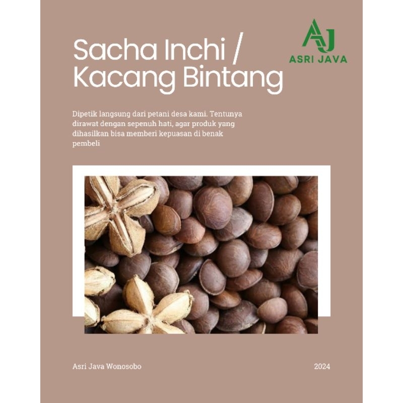 Jual Kacang Sacha Inchi Kering 1kg Kara Bintang Wonosobo | Shopee Indonesia