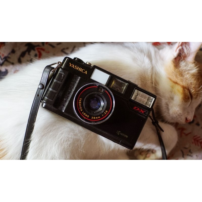 Jual Kamera Analog Point n Shoot Yashica MF-2 Super | Shopee Indonesia