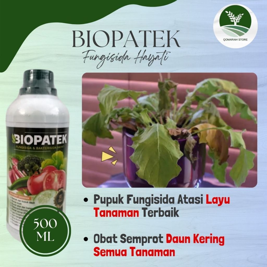 Jual obat fungisida anti layu tanaman paling ampuh -BIOPATEK 500ml ...