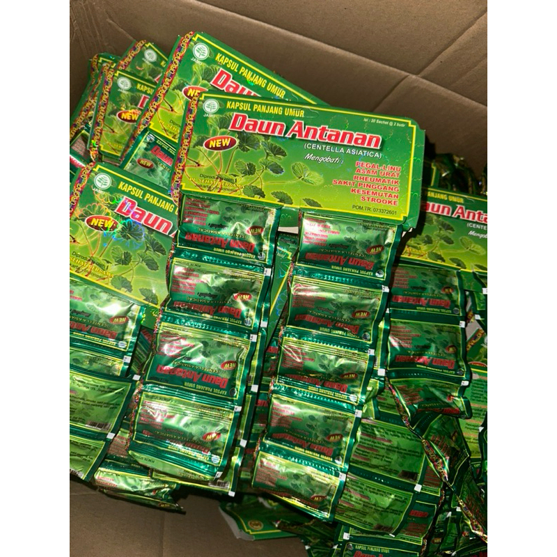 Jual Daun Antanan renceng kapsul | Shopee Indonesia