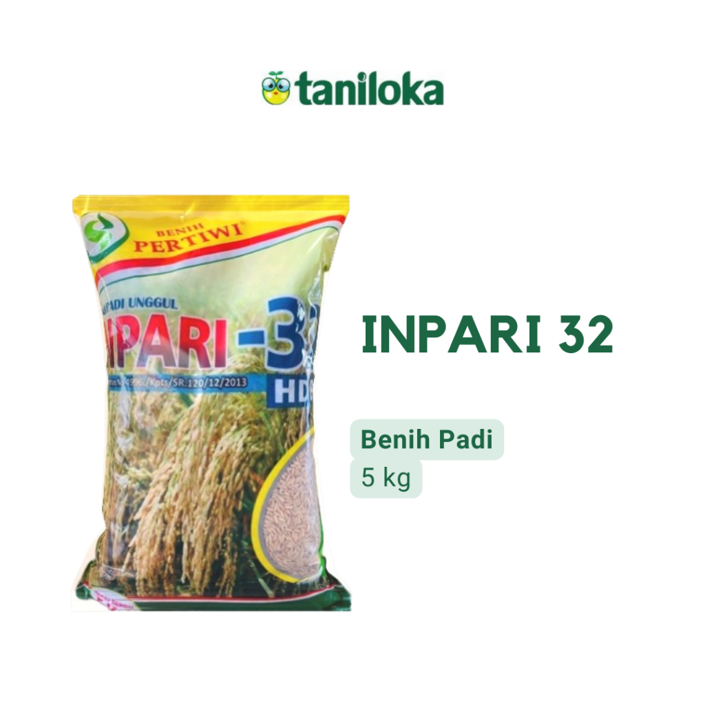 Jual Benih Pertiwi - Benih Padi Inpari 32 (5 Kg) | Shopee Indonesia