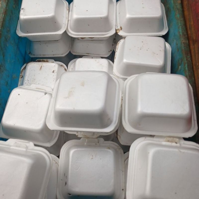 Jual CACING LUR ( UMPAN PANCING HARIAN & GALATAMA ) | Shopee Indonesia