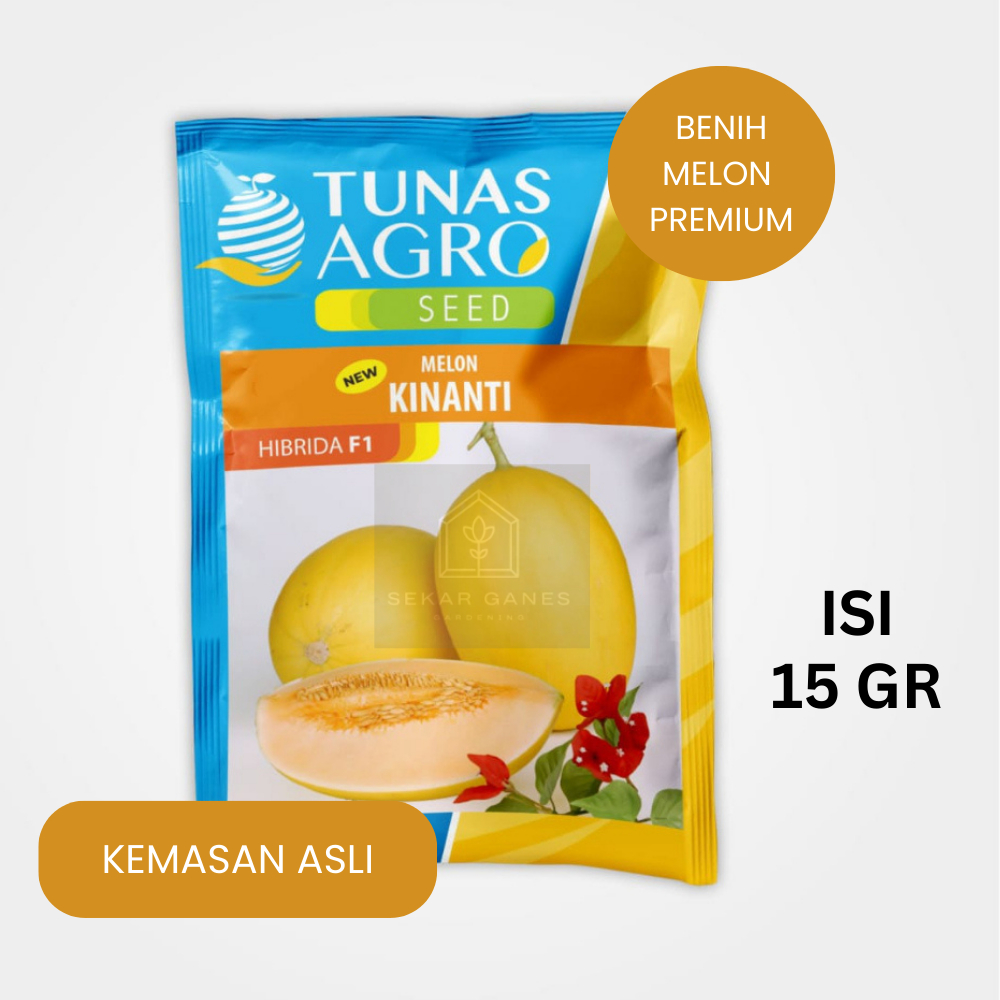 Jual PROMO KEMASAN ASLI 15 GRAM Benih Biji MELON KINANTI F1 - Bibit ...