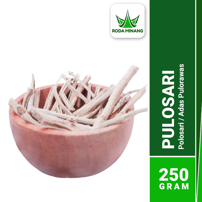 Jual Kayu Pulosari Kering Adas Pulowaras Batang Pulasari Polosari 250 ...