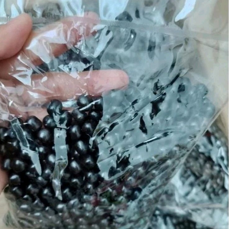 Jual Pil hitam ajaib curah per pack 1000 butir pil hitam Malaysia grade ...