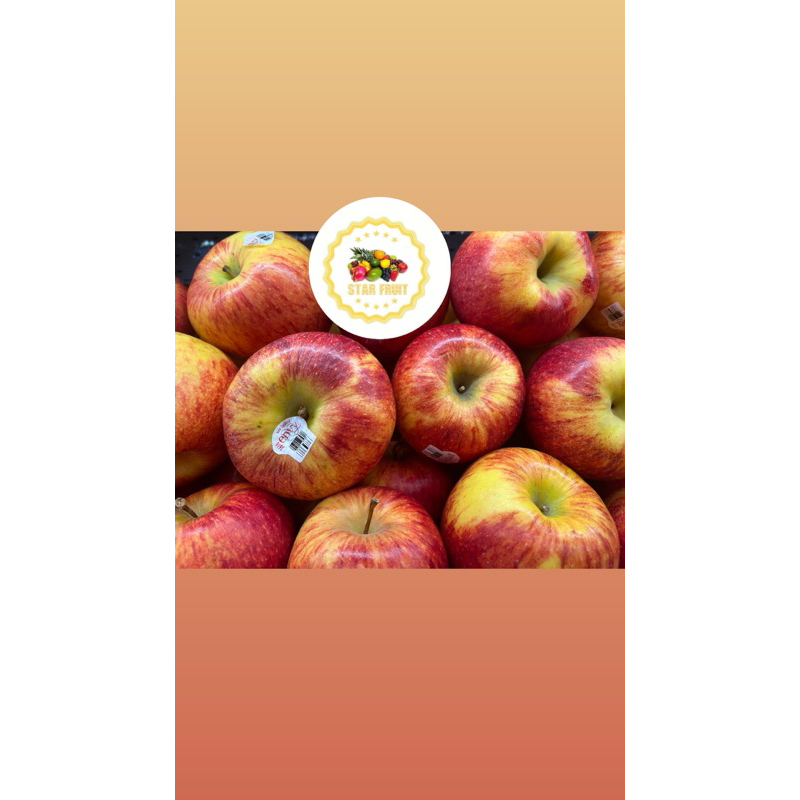 Jual Apel Envy | Shopee Indonesia