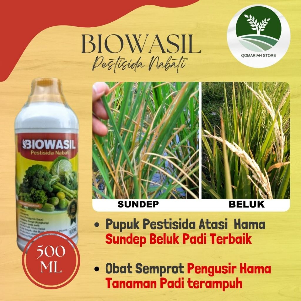 Jual pupuk pestisida basmi hama sundep padi terbaik - BIOWASIL - Obat ...