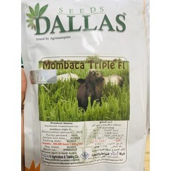 Jual Benih Rumput Mombaca F1 Triple Dallas Kemasan 2000 Biji Mombasa ...
