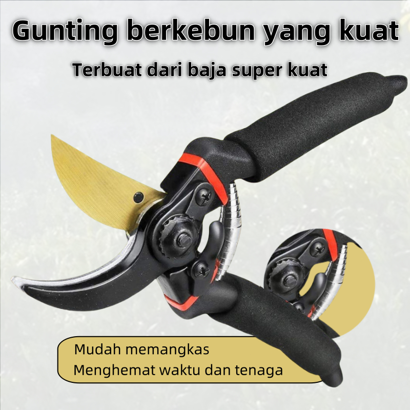 Jual SK5 gunting dahan gunting taman tanaman rumput kebun gunting ...