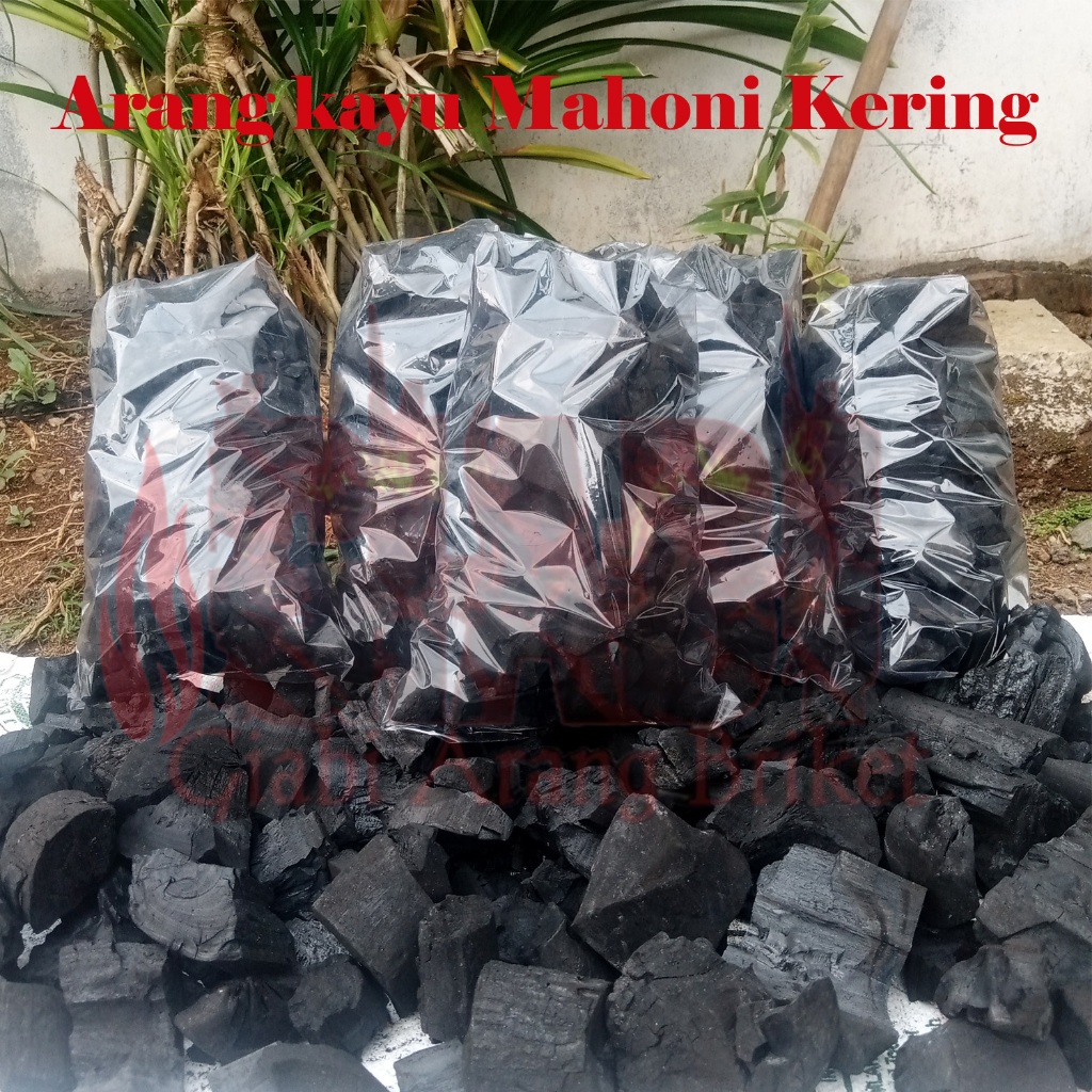 Jual Arang Kayu Bakar Untuk Bakaran Ayam Ikan Sate BBQ Kayu Mahoni | Shopee Indonesia