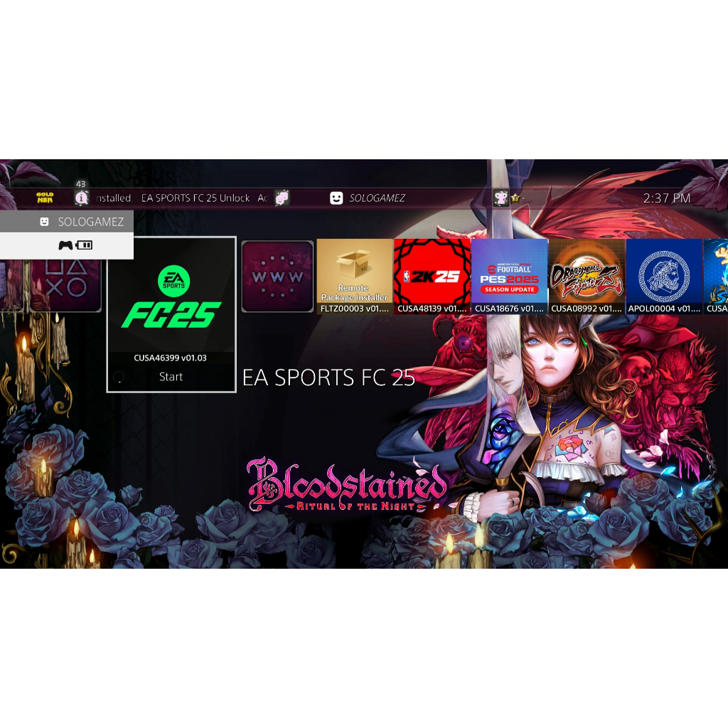 Jual EA Sport FC 25 PS4 GoldHen FLASHDISK | Shopee Indonesia