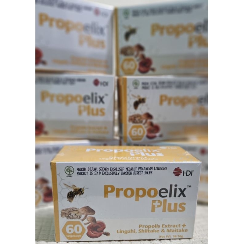 Jual propoelix plus 60 kapsul ori | Shopee Indonesia