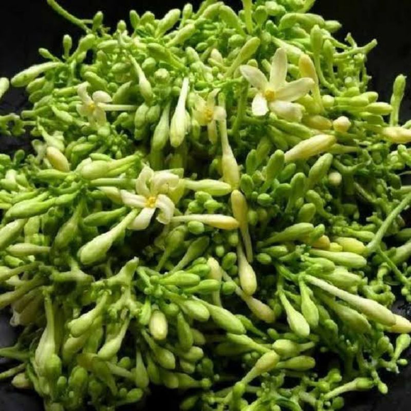 Jual bunga pepaya berat 500grm | Shopee Indonesia