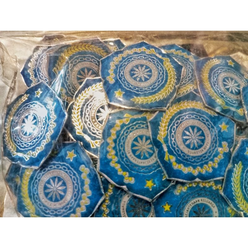 Jual Pin pkk cemiti belakang patri | Shopee Indonesia